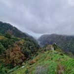 Madeira: Picturesque Peaks and Skywalk private 4x4 Jeep tour - Who Will Enjoy This Tour?