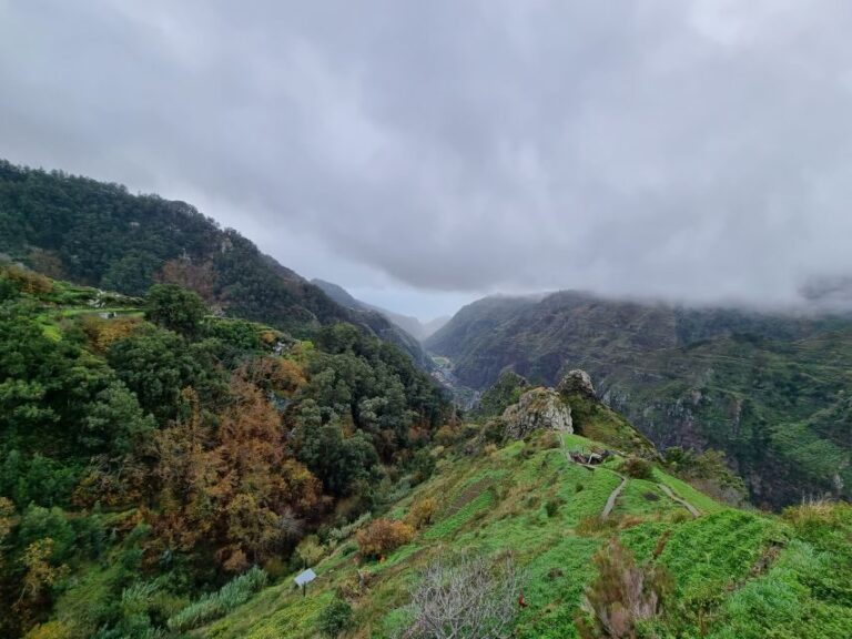 Madeira: Picturesque Peaks and Skywalk private 4x4 Jeep tour - Who Will Enjoy This Tour?