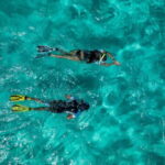 Madeira: Ponta de São Lourenço Snorkeling Boat trip - What You Can Expect During the Tour