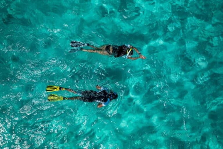 Madeira: Ponta de São Lourenço Snorkeling Boat trip - What You Can Expect During the Tour