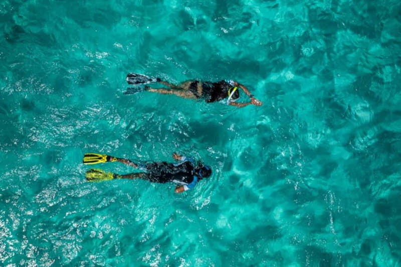 Madeira: Ponta de São Lourenço Snorkeling Boat trip - What You Can Expect During the Tour