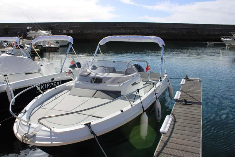 Madeira: Private Boat Rental in Caniçal Without a Captain - What You’ll See and Do