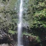 Madeira: Private Guided Levada Caldeirão Verde Walk PR9 - What’s Included and What to Bring