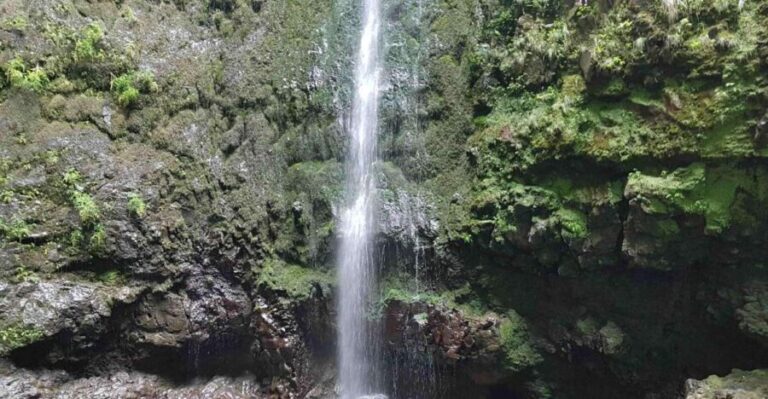Madeira: Private Guided Levada Caldeirão Verde Walk PR9 - What’s Included and What to Bring