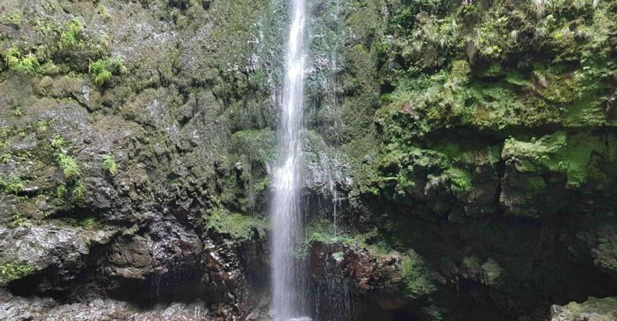 Madeira: Private Guided Levada Caldeirão Verde Walk PR9 - What’s Included and What to Bring