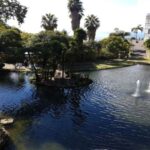 Madeira: Private Half-Day Guided Gardens Tour - Final Thoughts: Is it Worth It?
