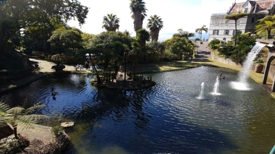 Madeira: Private Half-Day Guided Gardens Tour - Final Thoughts: Is it Worth It?