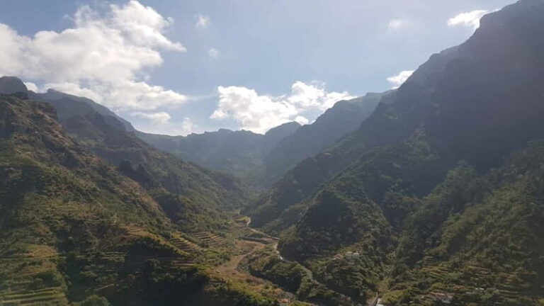 Madeira: Private Laurisilva Tour - The Value of This Tour