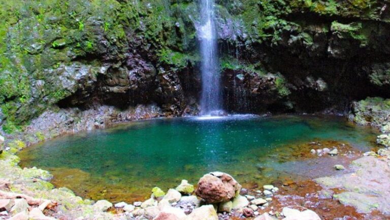 Madeira: Queimadas, Caldeirão Verde and Levada Walk - What Makes This Tour Stand Out?