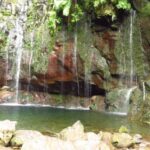 Madeira: Rabaçal, Risco and 25 Fontes Guided Hiking Tour - What Travelers Say