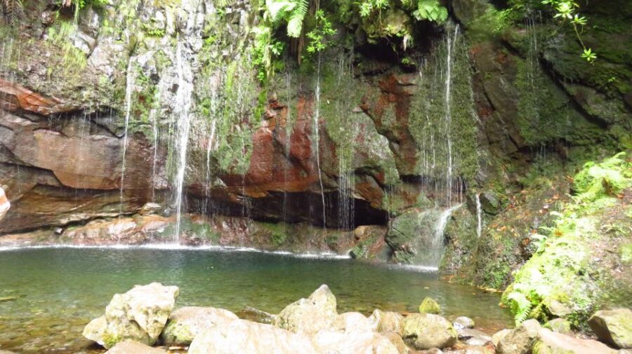 Madeira: Rabaçal, Risco and 25 Fontes Guided Hiking Tour - What Travelers Say