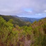 Madeira: Rabaçal Valleys 3-Hour Guided Walk - Practical Tips for Participants