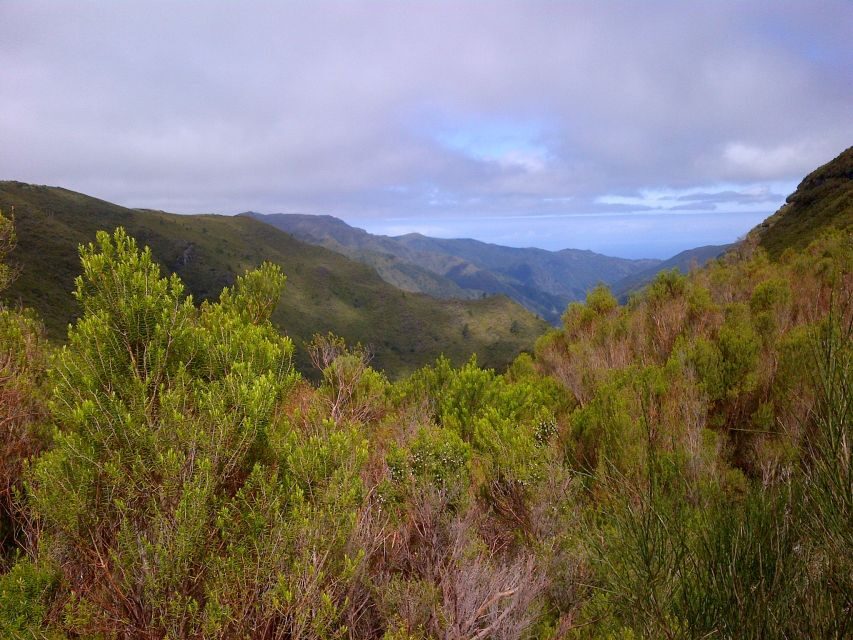 Madeira: Rabaçal Valleys 3-Hour Guided Walk - Practical Tips for Participants