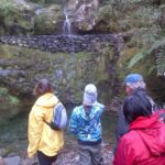 Madeira: Ribeiro Frio to Portela 4-Hour Guided Walk - An In-Depth Look at the Guided Walk from Ribeiro Frio to Portela