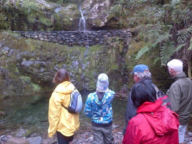 Madeira: Ribeiro Frio to Portela 4-Hour Guided Walk - An In-Depth Look at the Guided Walk from Ribeiro Frio to Portela