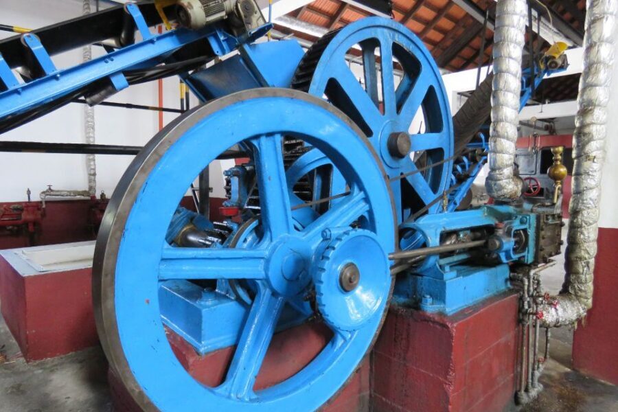 Madeira: Santana Jeep Tour Revealing the East's Treasures - Authentic Experiences That Matter