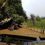 Madeira: Santana Traditional Houses Private Half-Day Tour - The Experience in Detail