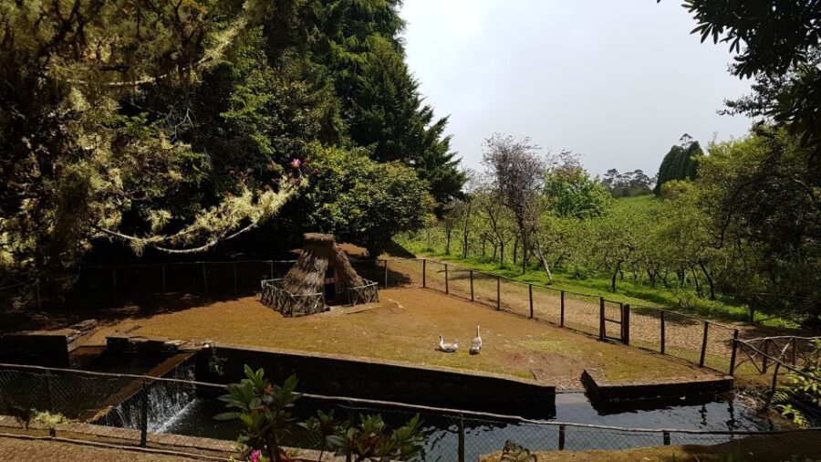 Madeira: Santana Traditional Houses Private Half-Day Tour - The Experience in Detail