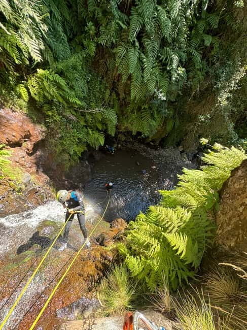 Madeira Short Canyoning For Beginners Rochão Level 1 - Why This Tour Works Well for Different Travelers