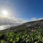 Madeira South Tour: Cabo Girão, Waterfalls for Cruise Ship - Why This Tour Works for Travelers