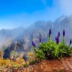Madeira Stairway to Heaven to Larano Hike Mountain to Sea - A Closer Look at the Itinerary