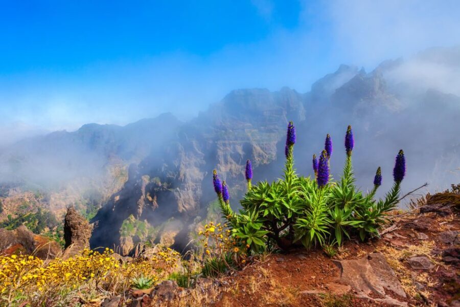 Madeira Stairway to Heaven to Larano Hike Mountain to Sea - A Closer Look at the Itinerary