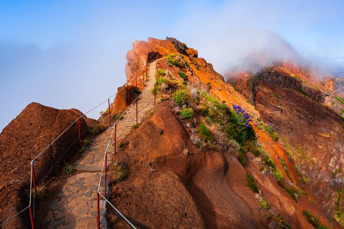 Madeira Stairway to Heaven to Larano Hike Mountain to Sea - An Honest Look at Madeira’s Mountain-to-Sea Hiking Tour
