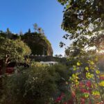 Madeira: Sunny South Side - Cabo Girão, Waterfalls, C. Lobos - Transportation, Group Size, and Cost