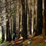 Madeira : Sunrise at Pico do Arieiro + 2 Hikes - PR1 and PR3 - The Itinerary in Detail