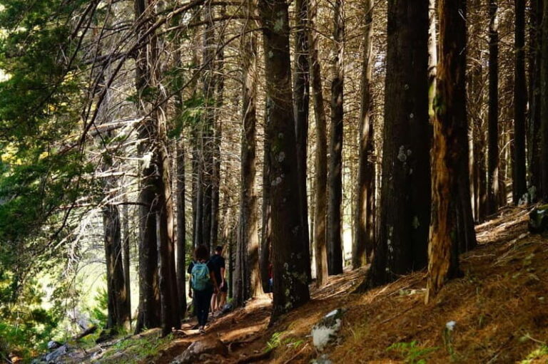 Madeira : Sunrise at Pico do Arieiro + 2 Hikes - PR1 and PR3 - The Itinerary in Detail