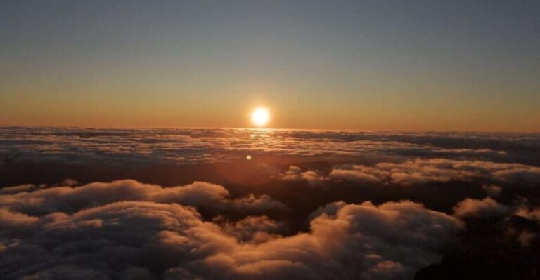 Madeira: Sunrise Half-Day Jeep Tour - The Experience in Detail