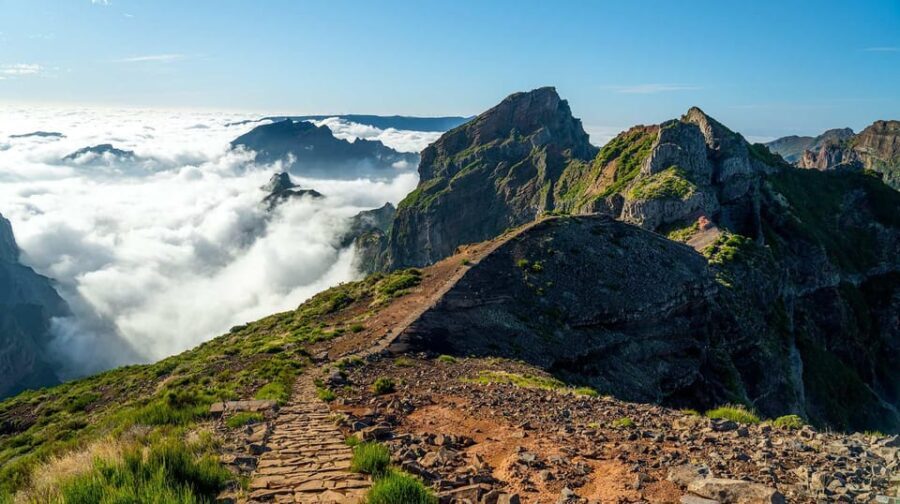 Madeira: Sunrise Tour with Hotel Pickup - Why Youll Love This Tour