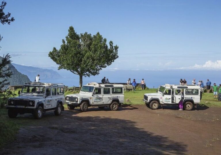 Madeira: The Enchanting North - Authentic Experiences You’ll Remember