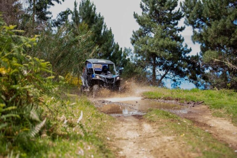 Madeira: Trail Thrill Buggy Tour - Final Thoughts: Who Will Love This Tour?