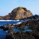 Madeira West Island Full-Day Tour with Fanal Forest - The Itinerary: Step-by-Step Breakdown