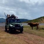 Madeira West Safari - The natural lava pools of Porto Moniz - Detailed Breakdown of the Itinerary