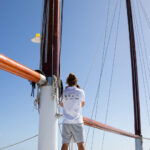 Madeira : Whales and Dolphins wooden boat excursion - The Itinerary in Detail