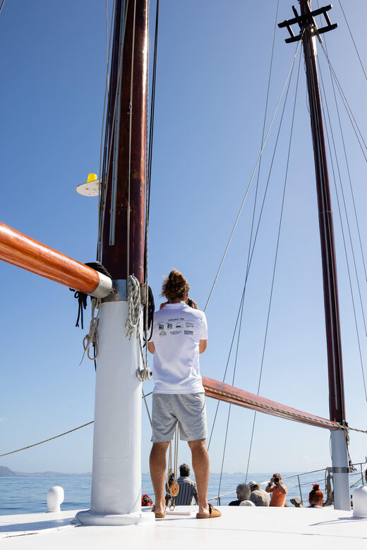 Madeira : Whales and Dolphins wooden boat excursion - The Itinerary in Detail