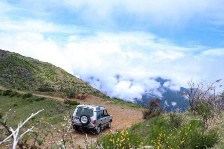 Madeira Wild West 4X4 Tour Safari - Transportation, Group Size, and Practicalities