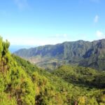 Madeira: Wine Safari Jeep Tour with Local Guide - What Makes This Tour Stand Out