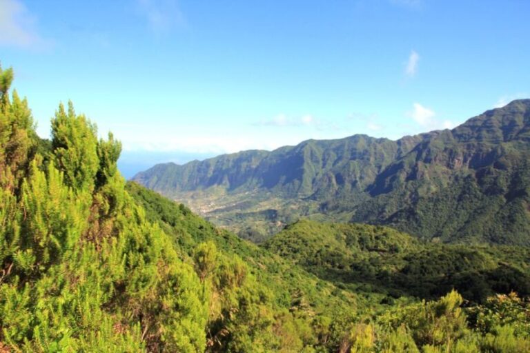 Madeira: Wine Safari Jeep Tour with Local Guide - What Makes This Tour Stand Out