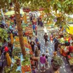 Madeira Wine Tasting and Funchal City tour - Practicalities and Tips