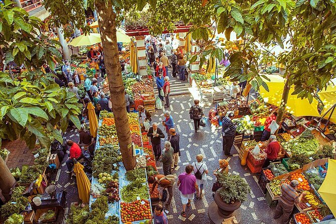 Madeira Wine Tasting and Funchal City tour - Practicalities and Tips