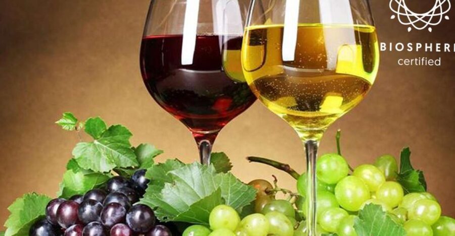 Madeira: Wine Tasting Experience Honey Museum and Cabo Girão - Why This Tour Offers Value and Authenticity
