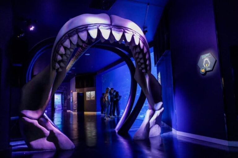 Madrid: Atlantis Aquarium Entry Ticket - The Itinerary in Detail