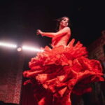 Madrid: Authentic Flamenco at Flamenco de Leones - Who Will Love This Experience?