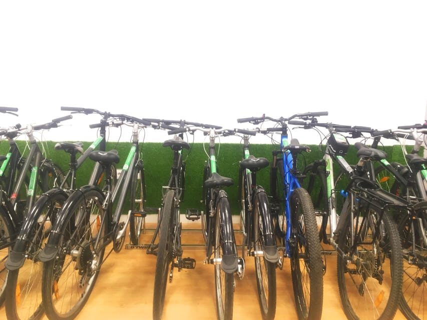 Madrid: bike rental - Detailed Breakdown of the Experience
