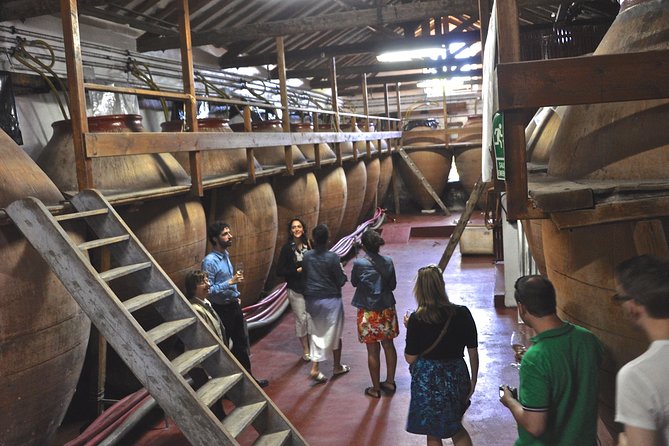 Madrid Countryside Wineries Guided Tour with Wine Tasting - Key Points