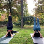 Madrid: Flow Yoga class in Retiro Park - The Experience of Practicing Yoga in Madrid’s Retiro Park