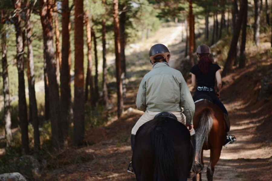 Madrid: Horse Riding in Sierra del Guadarrama National Park - The Itinerary in Detail